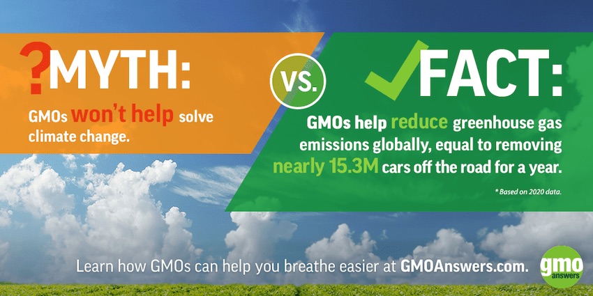 GMO Myths Vs. GMO Facts | GMO Answers
