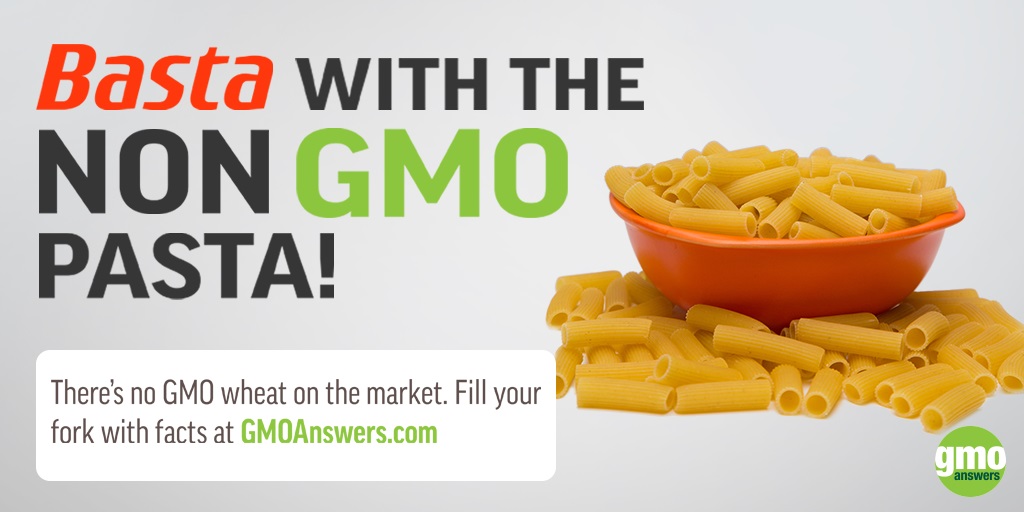 GMO Basics | GMO Answers