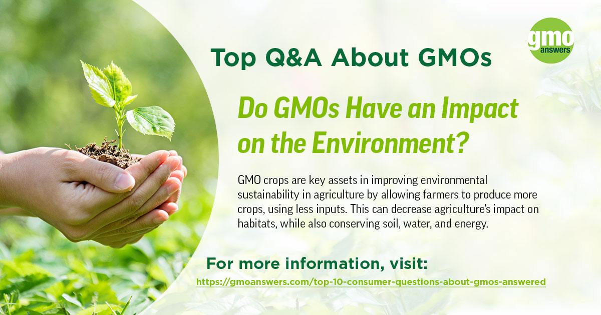 Top 10 GMO Questions and Answers | GMO Answers