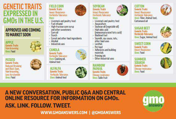 Educational Resources | GMO Answers